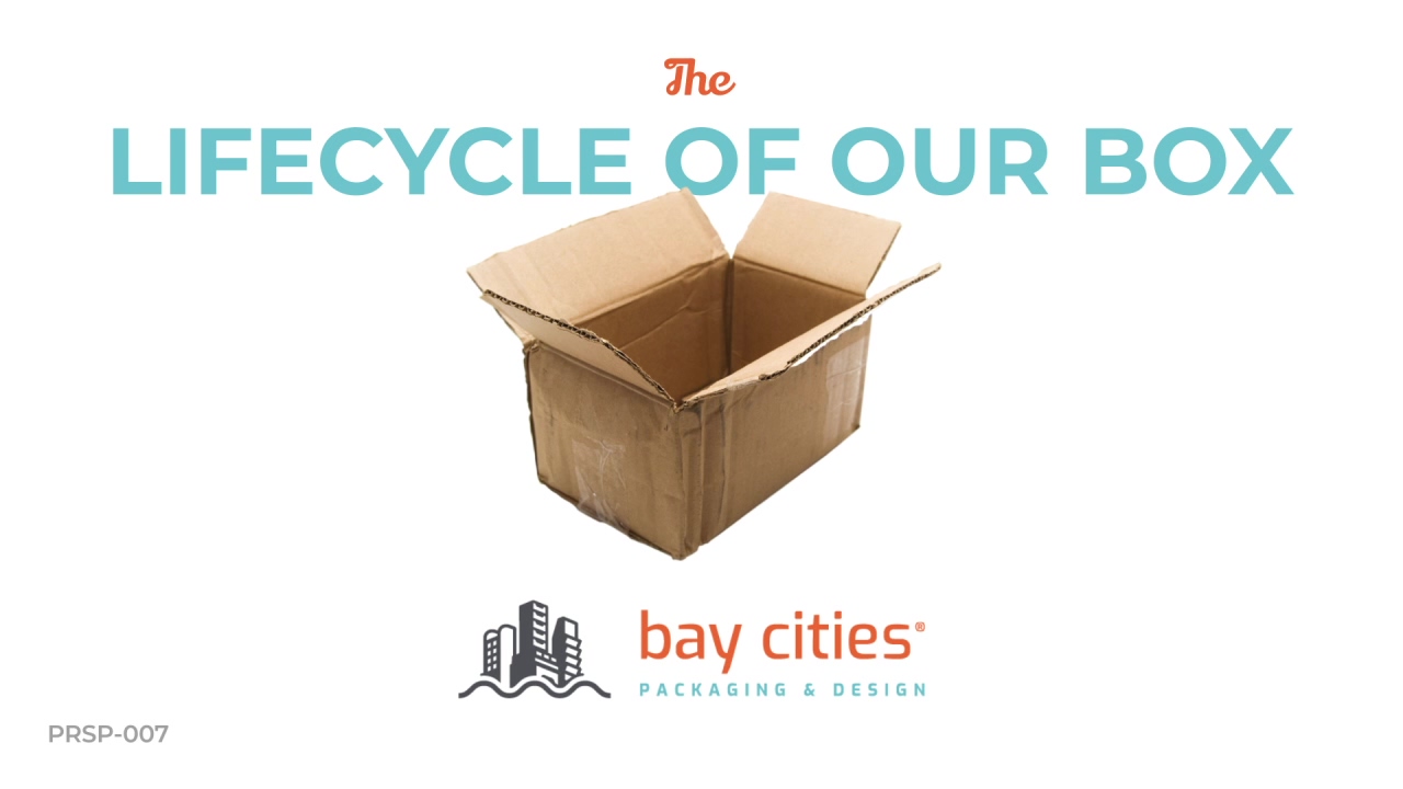 Video | Lifestyle of Our Box